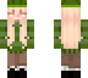 Turtle Hat | Minecraft Skin