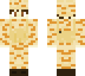 Desert Soldier | Minecraft Skin