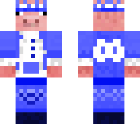 technoblade discord | Minecraft Skin