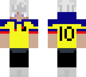 Ecuador Tri | Minecraft Skin