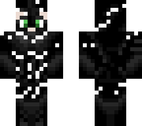 Cat Skin | Minecraft Skin