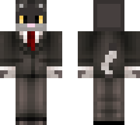Cat Suit | Minecraft Skins