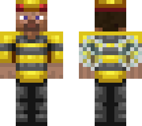 Steve bee costume | Minecraft Skin