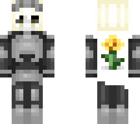 DD The Protector | Minecraft Skin