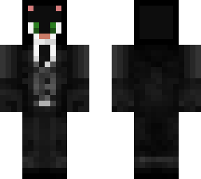 Cat Suit | Minecraft Skins