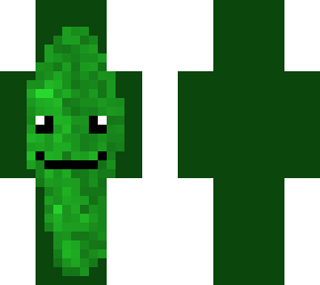 OFFICIAL PICKLE | Minecraft Skin