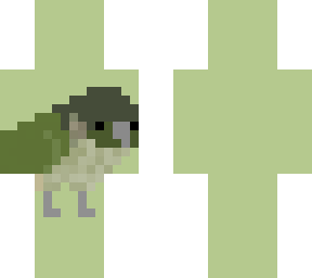 pickle the green cheek conure | Minecraft Skin