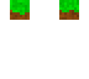 Grass Block Asset | Minecraft Skin