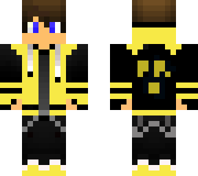 pro | Minecraft Skin