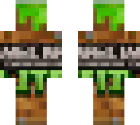Mcpe lite | Minecraft Skin