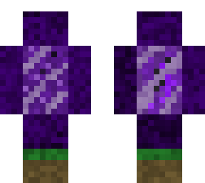 Portal | Minecraft Skins