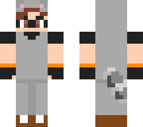 mapache | Minecraft Skins