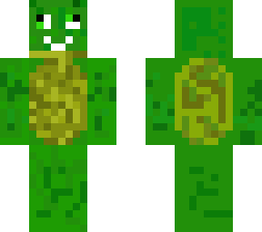 derpy turtle | Minecraft Skins