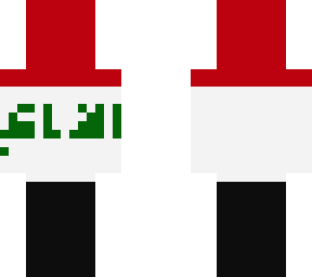 I tired to make the Iraqi flag | Minecraft Skin