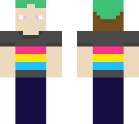 pan flag shirt | Minecraft Skin