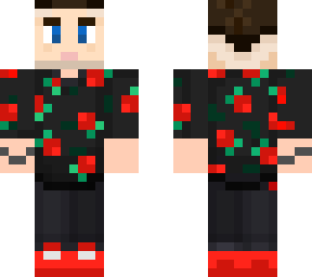 Modi Minecraft Skins