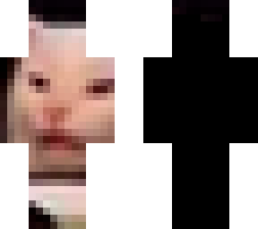 TacoManEj Confuzzled Cat | Minecraft Skin