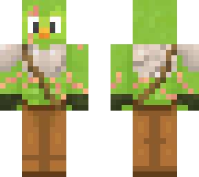 duolingo | Minecraft Skins