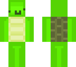 Derp Turtle | Minecraft Skin