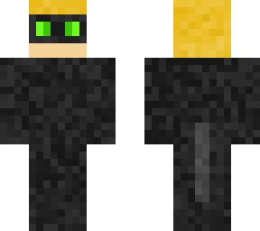 tranformible cat noir | Minecraft Skin