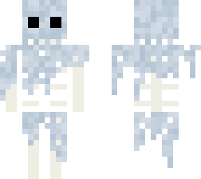 Stray Type Skeleton | Minecraft Skin
