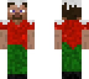 Winter steve | Minecraft Skin