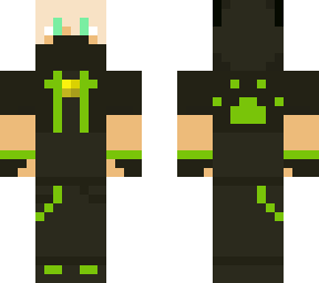 cat noir | Minecraft Skins