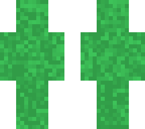 worst skin ik | Minecraft Skins