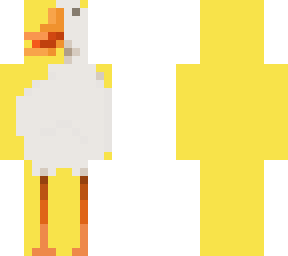Honk | Minecraft Skin