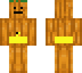 Splash skin | Minecraft Skin