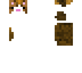 the fat cat | Minecraft Skin