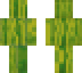 MELONE | Minecraft Skin