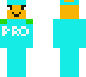 The Skindex Custom Pro Skin | Minecraft Skin