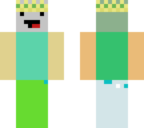 Flippers | Minecraft Skin