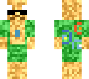 Pro | Minecraft Skin