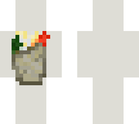 Mexicano Burrito | Minecraft Skin