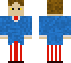 PATRIOTIC SENATEEE | Minecraft Skin