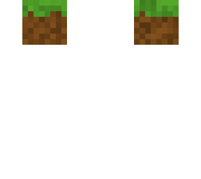 Dirt Block | Minecraft Skin