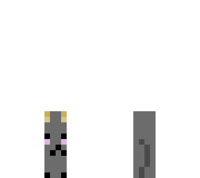 pusheen | Minecraft Skins