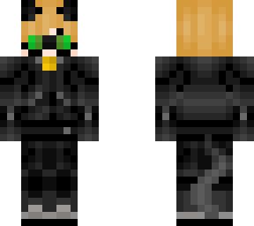 cat noir | Minecraft Skin