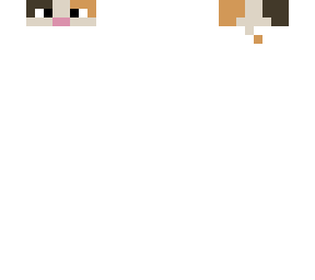 Cat hat | Minecraft Skin