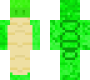 Turtle | Minecraft Skin
