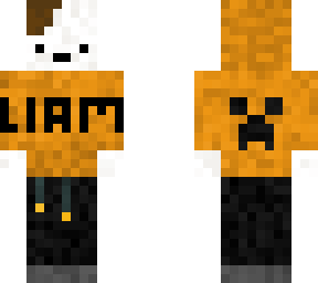 LIAM | Minecraft Skin