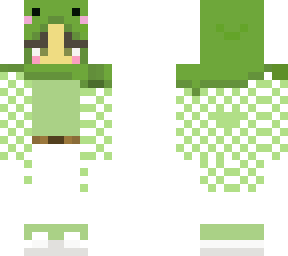 aesthetic frog skin | Minecraft Skin