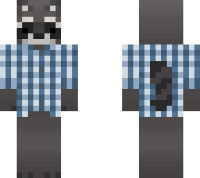 Racoon | Minecraft Skin