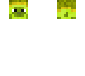 Turtle ploof | Minecraft Skin
