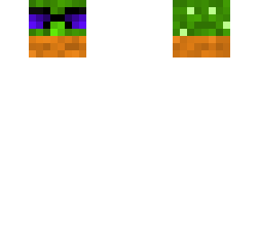 Seguaro Ploof | Minecraft Skin