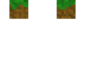 Grass Block Head | Minecraft Skin