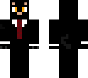 Cat Suit | Minecraft Skins