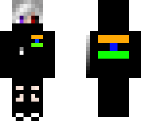 A Skin Representing India | Minecraft Skin